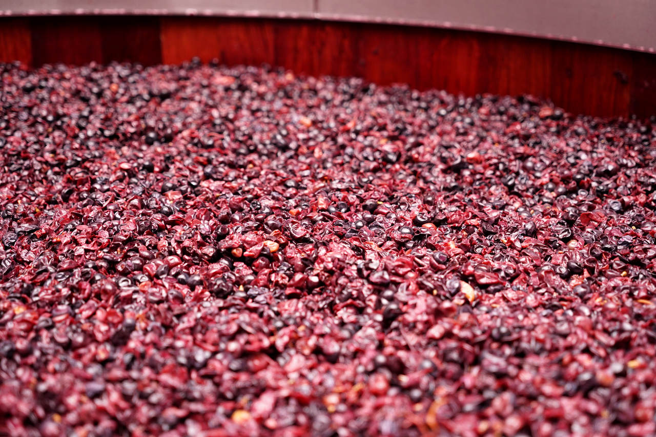 Viticultura sostenible: Compost con bagazo de uva mencía | Adegas Moure